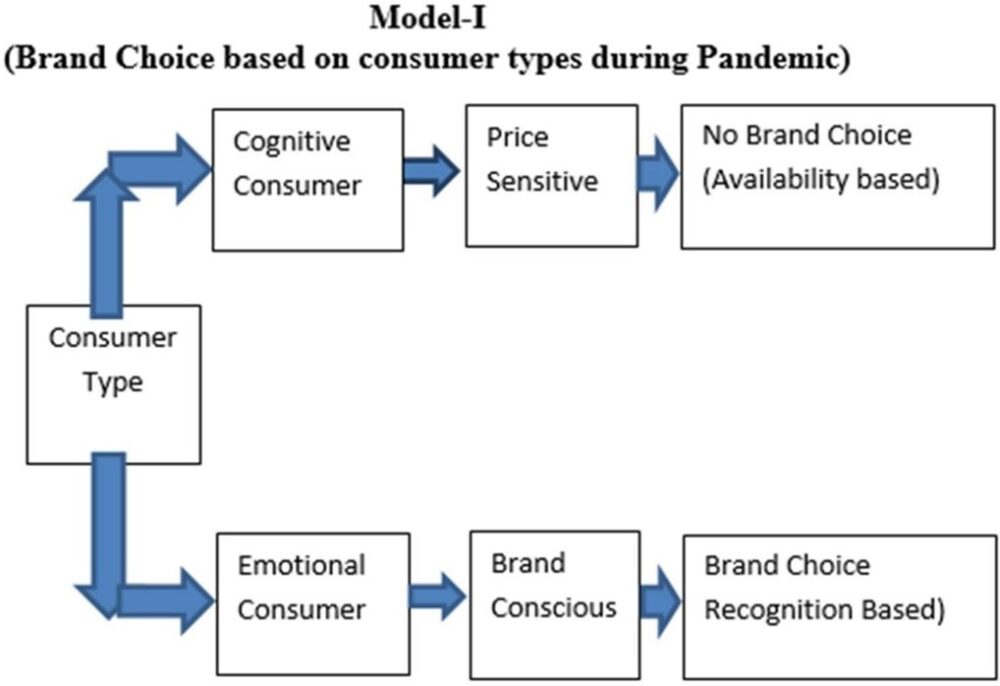 Understanding the Impact of the Emotional Consumer During the Covid-19 ...